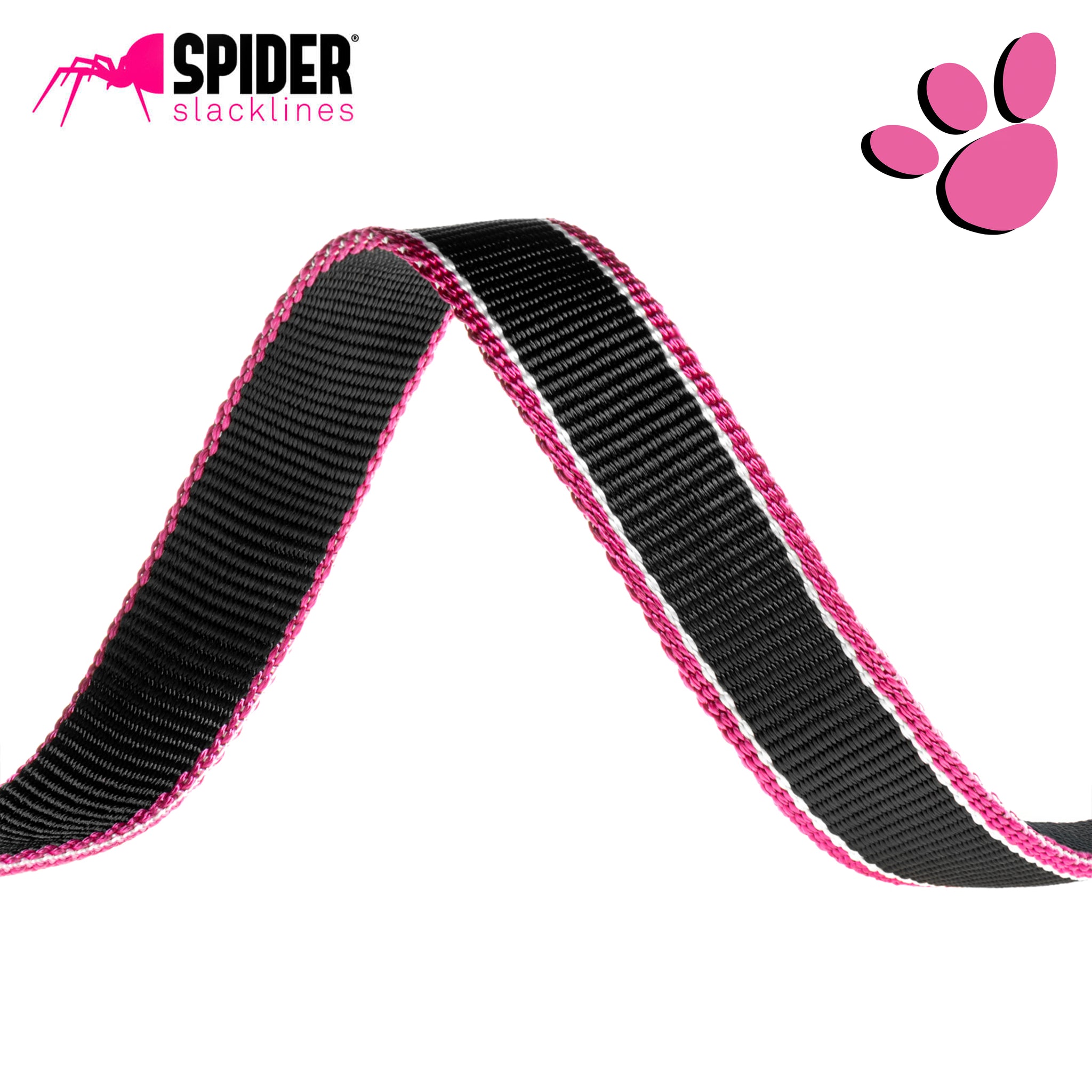 Panther | Spider Slacklines